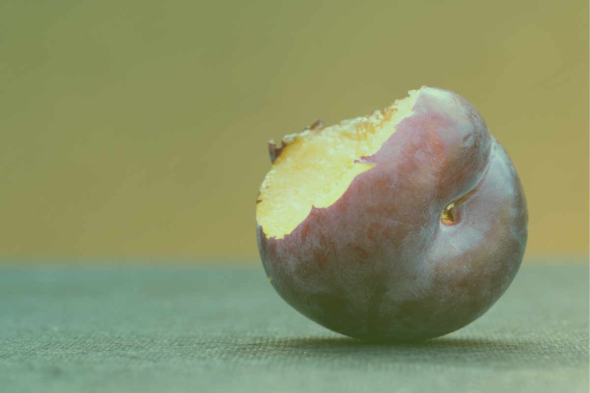 Favorite Poem Project